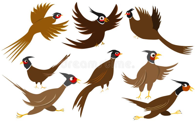 Cartoon Pheasant Bird Flying Stock Illustrations – 75 Cartoon Pheasant ...