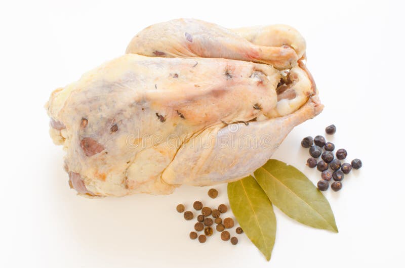 Pheasant meat stock photo. Image of bird, organic, venison - 23849920