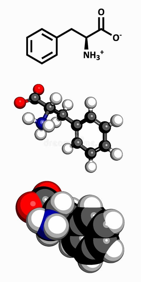 Phenylalanine Molecule Illustration Stock Illustration - Illustration ...