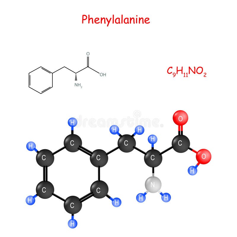 Phenylalanine L Phenylalanine Phe F Amino Acid Molecule Structural Chemical Formula And