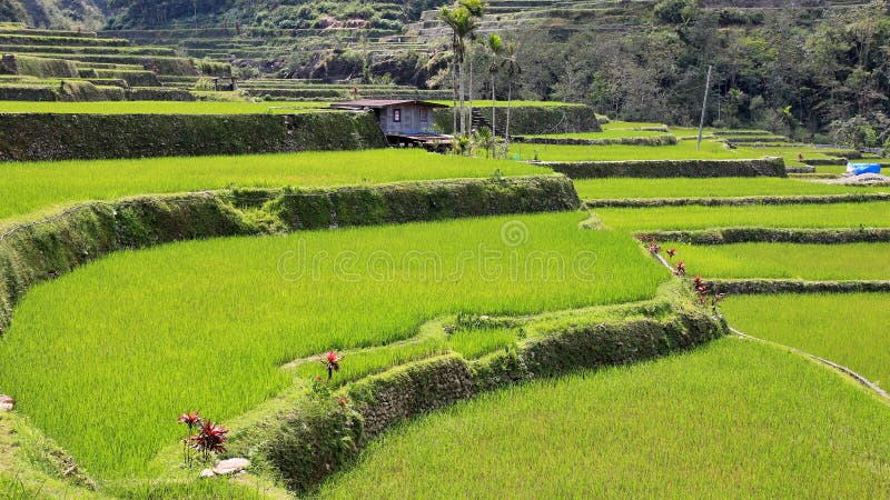 Philippines 2016 stock photo. Image of valley, nature - 105988092