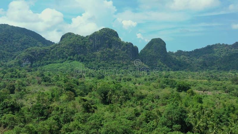 Philippine Jungle from the Top of a Viewpoint Stock Footage - Video of ...