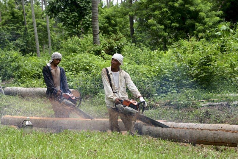 Philippine Lumberjacks editorial photography. Image of filipino - 5052172