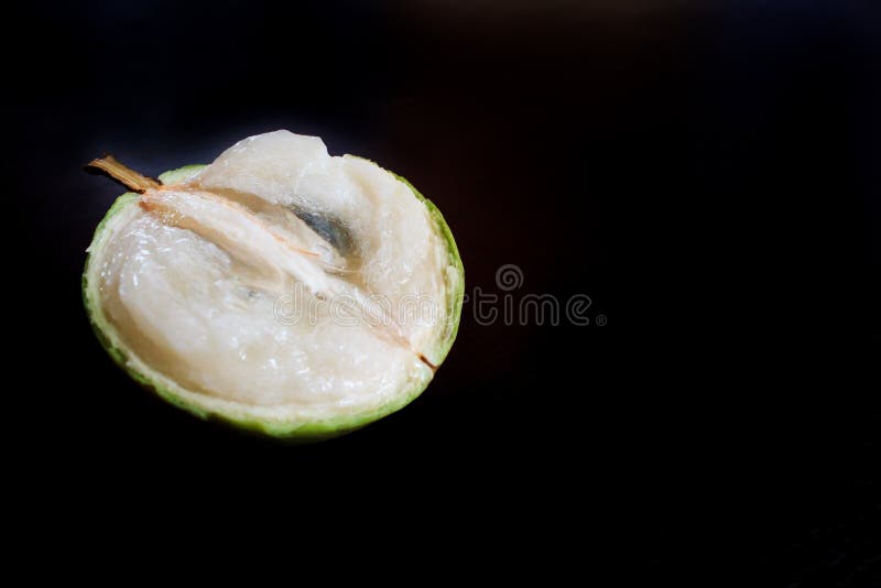 Philippines Chrysophyllum Cainito Stock Image - Image of milk, health ...