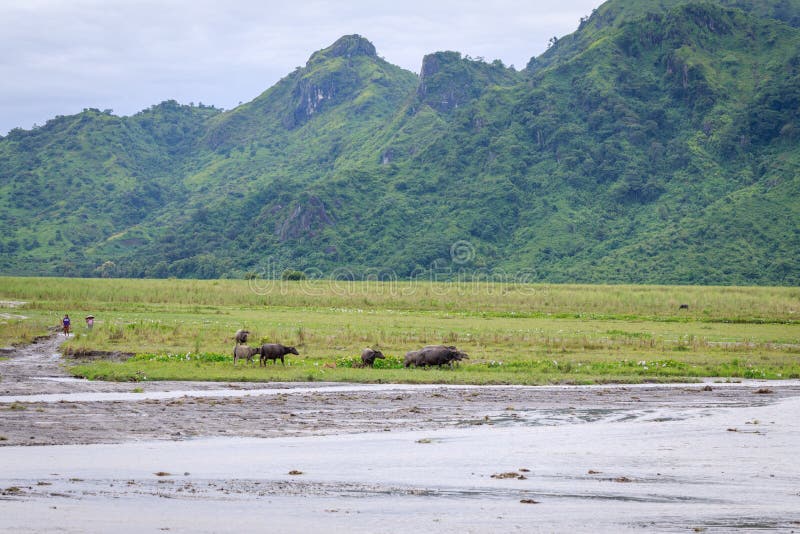 Philippines Countryside Scenery Stock Photo - Image of crater, nature ...