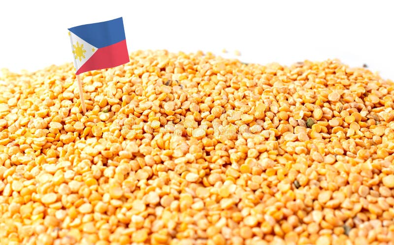 Philippines Flag Sticking in a Bunch of Peas. Stock Photo - Image of ...
