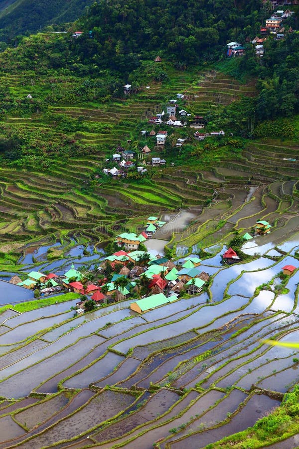 Philippines rice terrace stock image. Image of crop - 190326769