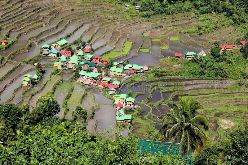 Batad rice fields stock image. Image of banaue, countryside - 111645067