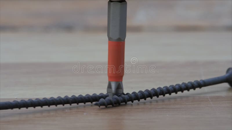 A Phillips Screwdriver, a Bit, Rotates and Moves the Roofing Screws ...