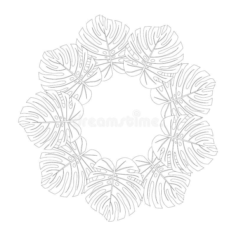Outline Philodendron Vector Icon. Isolated Black Simple Line Element ...