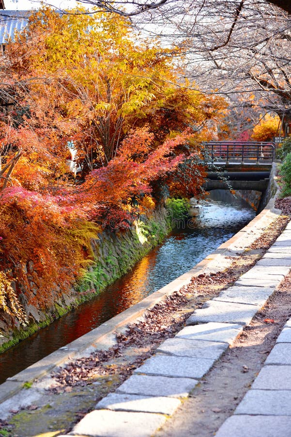 Philosopher Path in Autumn at Kyoto Stock Image - Image of kyoto ...