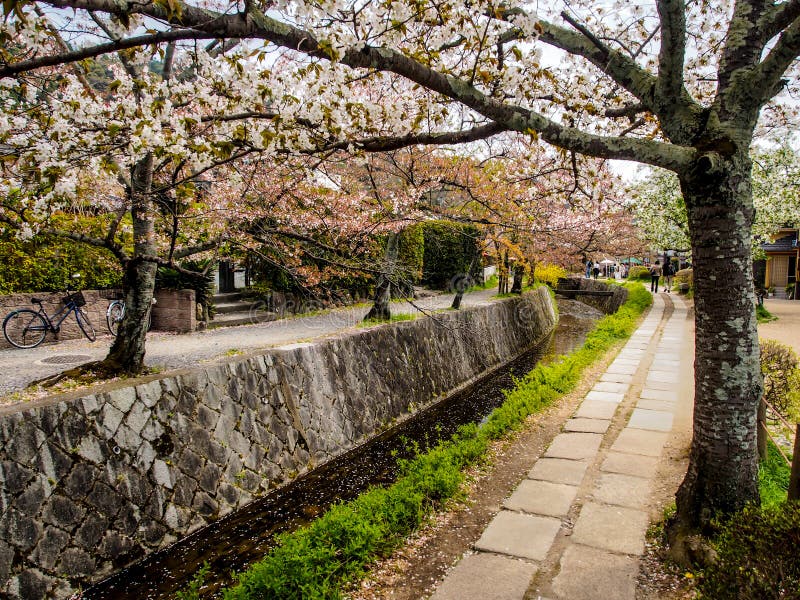 Philosopher S Path, Kyoto, Japan 1 Stock Photo - Image of colorful ...