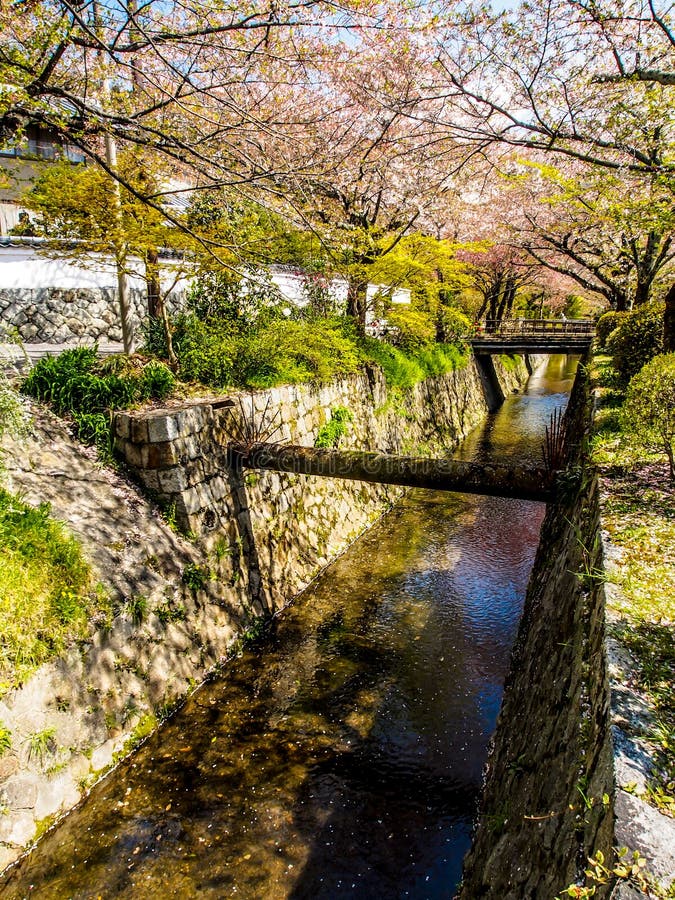Philosopher S Path, Kyoto, Japan 4 Stock Image - Image of blossom ...