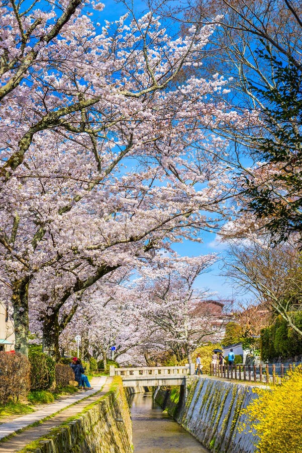 Philosopher S Walk in Kyoto Stock Photo - Image of bloomings, scenic ...