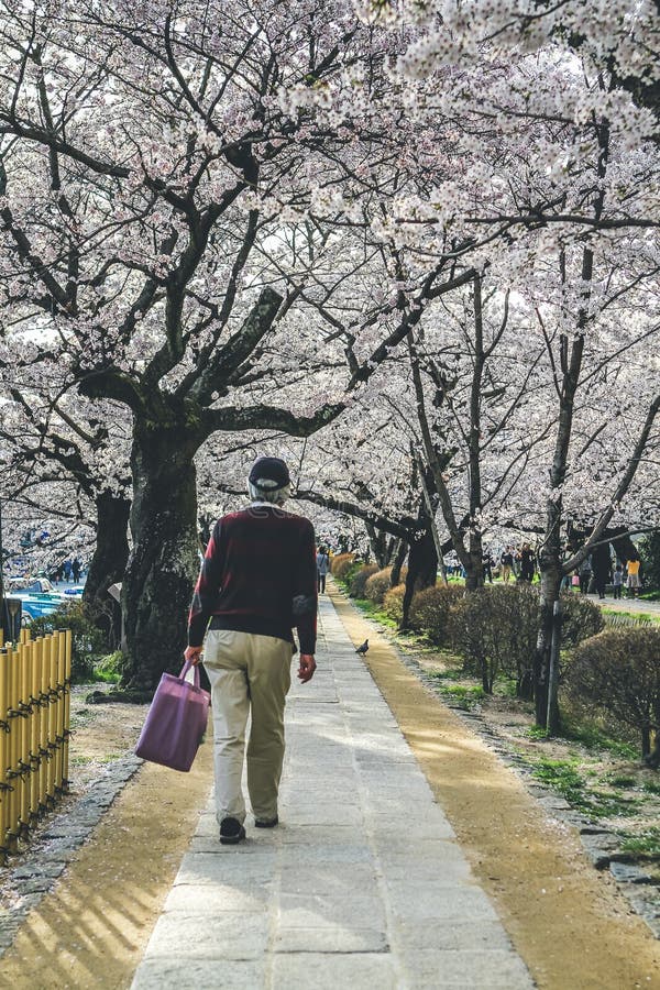 12 April 2012 the Philosophers Way in the Spring Time, Kyoto, Japan ...