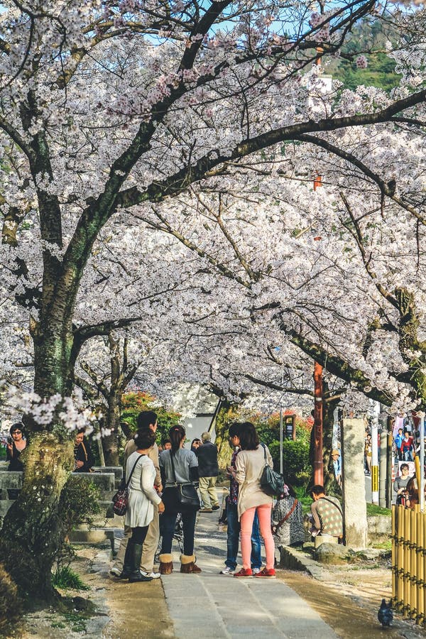 12 April 2012 the Philosophers Way in the Spring Time, Kyoto, Japan ...