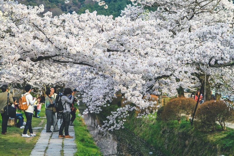 12 April 2012 the Philosophers Way in the Spring Time, Kyoto, Japan ...