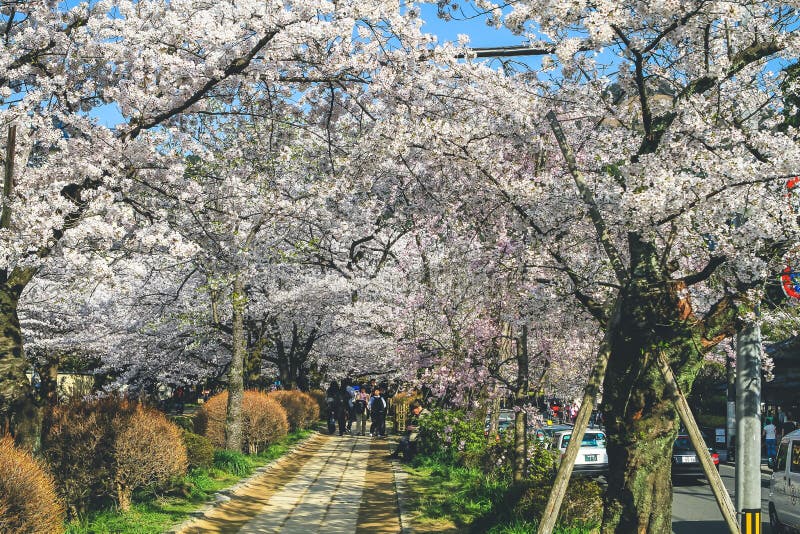 12 April 2012 the Philosophers Way in the Spring Time, Kyoto, Japan ...