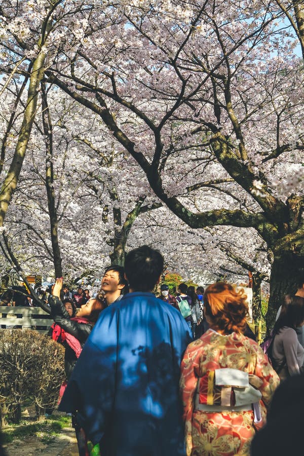 12 April 2012 the Philosophers Way in the Spring Time, Kyoto, Japan ...