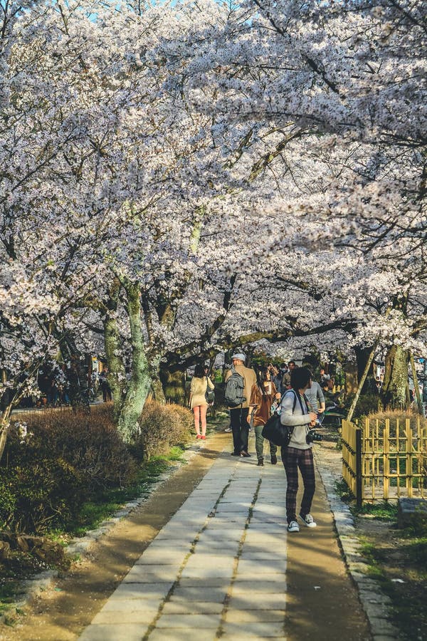 12 April 2012 the Philosophers Way in the Spring Time, Kyoto, Japan ...