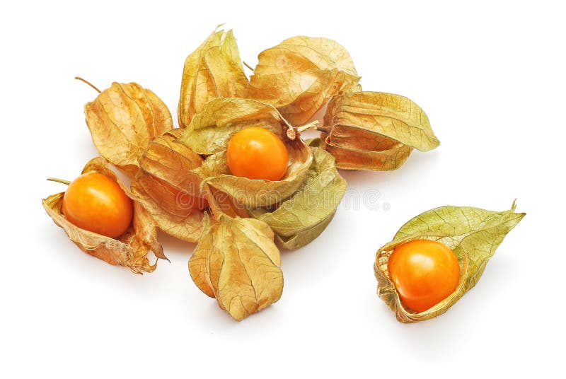 Phisalis exotic fruit stock image. Image of healthy, white - 37814981