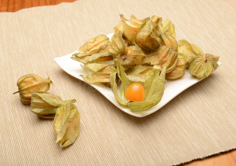 Phisalys stock image. Image of rare, natural, fresh, closeup - 30525585