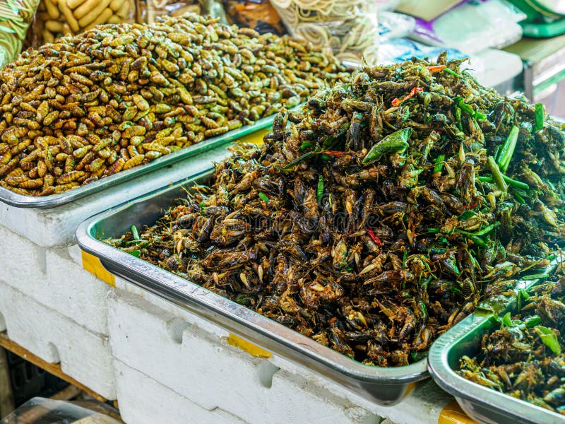 Insects and Grubs for Sale at the Phnom Penh Central Market, Phnom Penh ...
