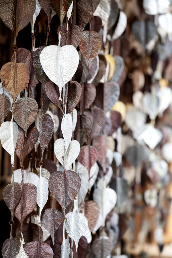 Pho tree leaf stock image. Image of ancient, culture - 76655245