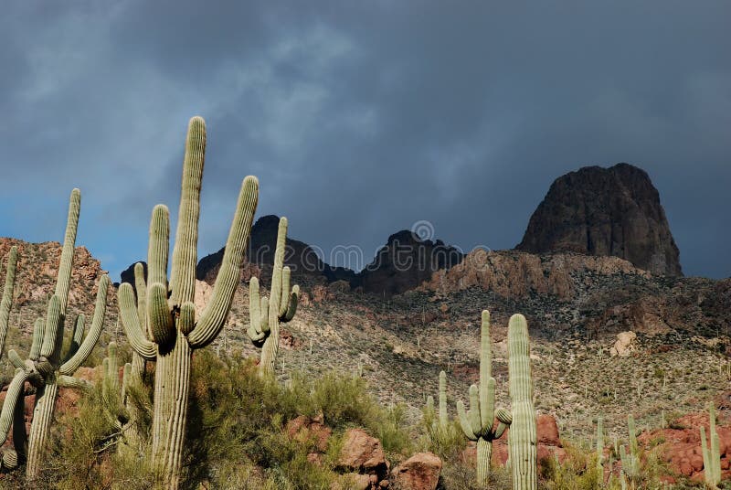 Phoenix, Arizona. Apache Trail Scenery Stock Photo - Image of desert ...