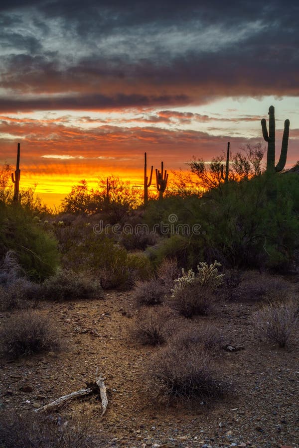 Phoenix Arizona Night Scene after Sunset Stock Photo - Image of travel ...