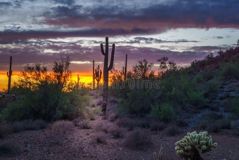 Phoenix Arizona Night Scene after Sunset Stock Photo - Image of travel ...