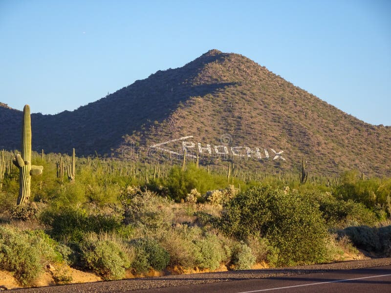 Phoenix Arrow Tonto National Forest Stock Image - Image of plant ...