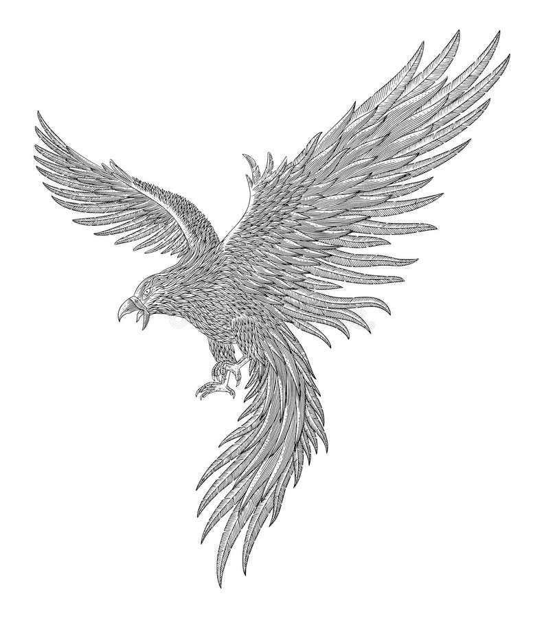 Phoenix Engraving Stock Illustrations – 188 Phoenix Engraving Stock ...