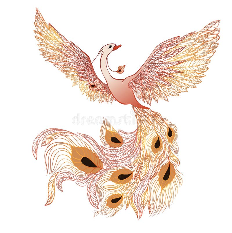Phoenix Bird stock vector. Illustration of vector, wing - 47879705