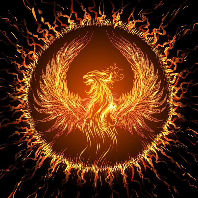 Burning phoenix stock illustration. Illustration of phoenix - 21856956