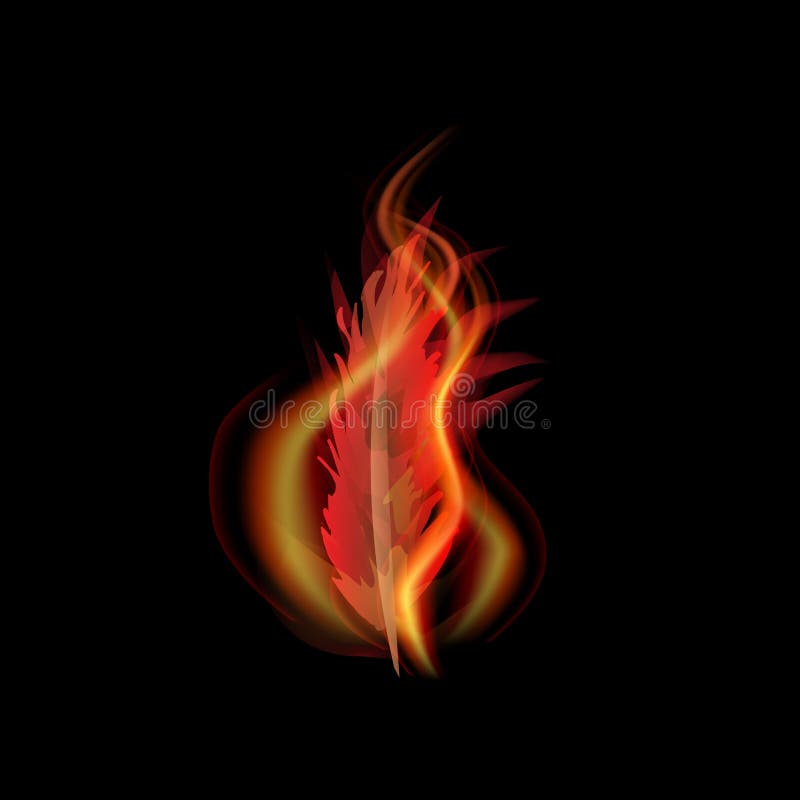 Phoenix Feather in the Fire, Black Background, Vector Stock ...
