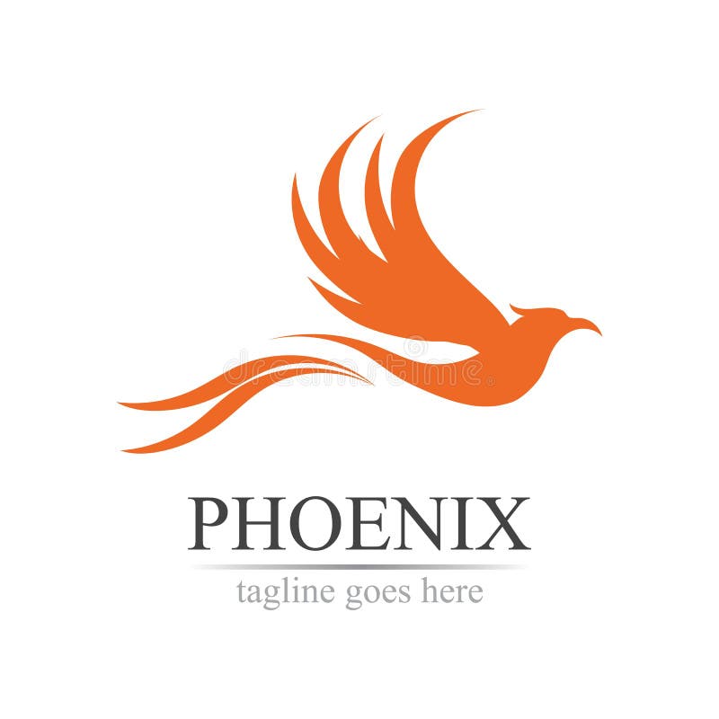 Phoenix Logo Design Vector Illustration Stock Vector - Illustration of ...