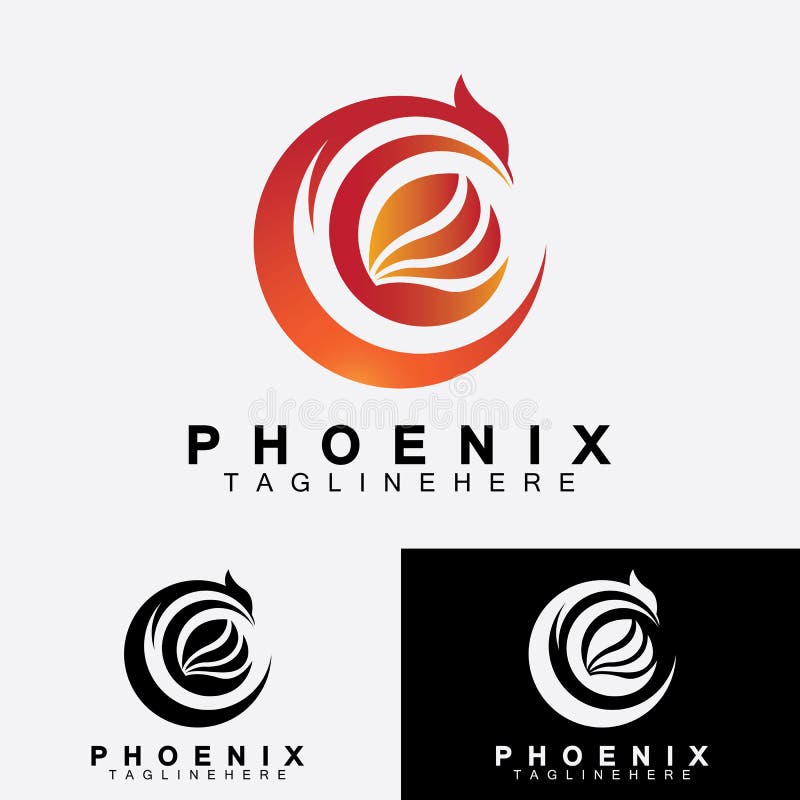 Phoenix Logo Vector Illustration Design Template Stock Vector ...