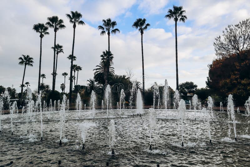 Phoenix Park in Nice in January Stock Photo - Image of heritage ...