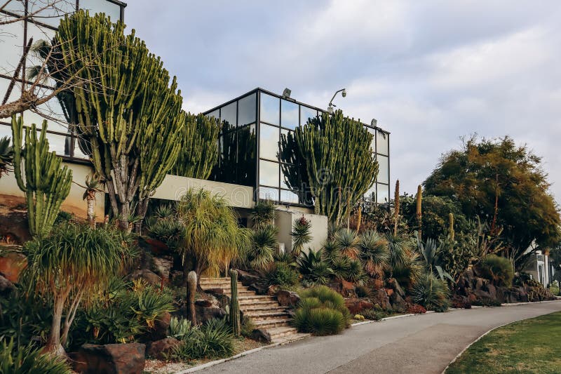 Phoenix Park in Nice in January Stock Photo - Image of scenery, phoenix ...