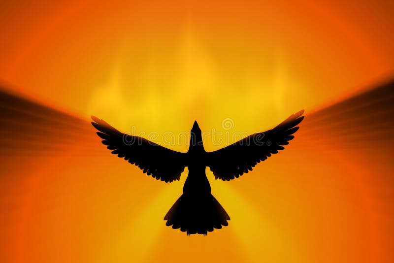 Phoenix rising stock illustration. Illustration of detail - 5043292