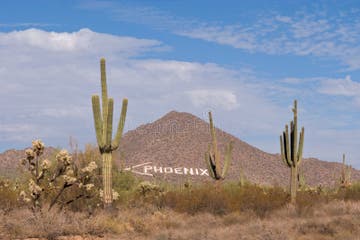Phoenix Sign stock image. Image of desert, cactus, mountains - 4222133