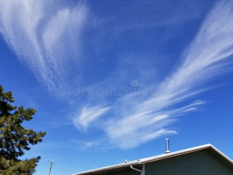 Phoenix in the sky stock photo. Image of world, love - 159889114