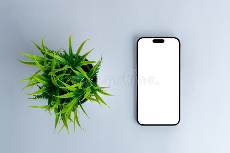 Composition with Modern Male Perfume on Color Background with Copy ...