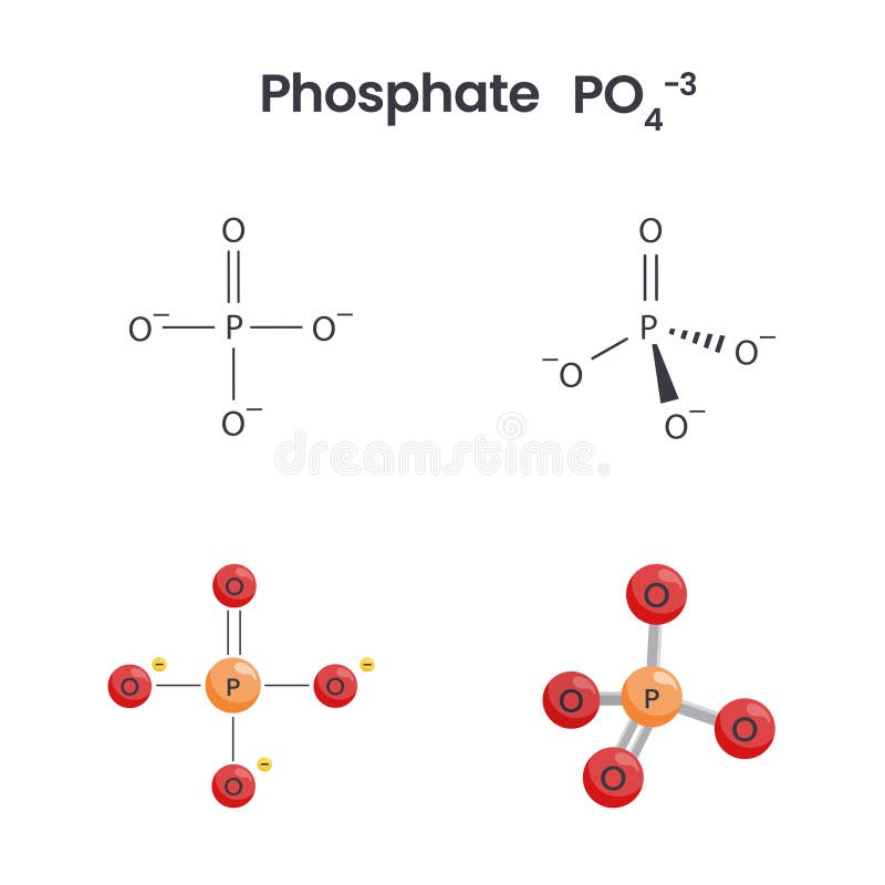 Phosphate Bonds Stock Illustrations – 81 Phosphate Bonds Stock ...