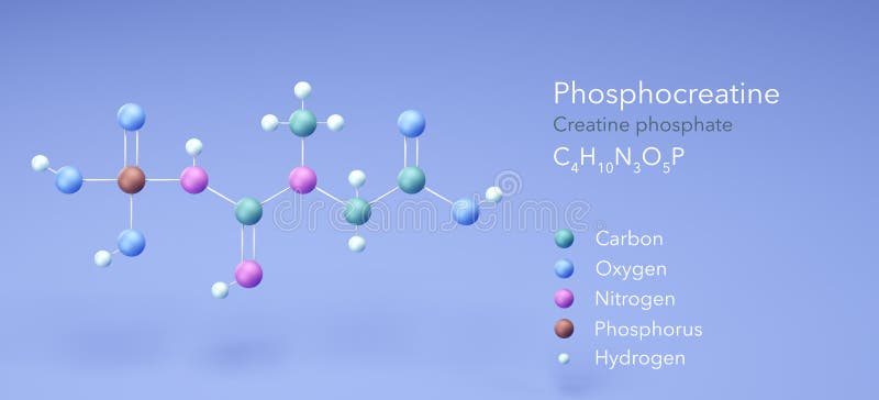 Phosphocreatine, Creatine Phosphate, Molecular Structures, 3d Model ...