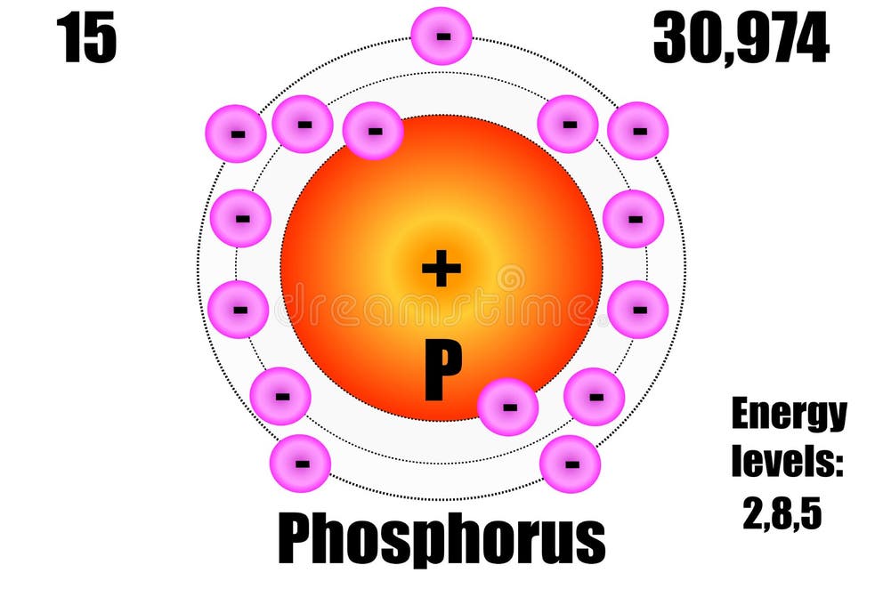 Phosphorus Atom, with Mass and Energy Levels. Stock Vector ...