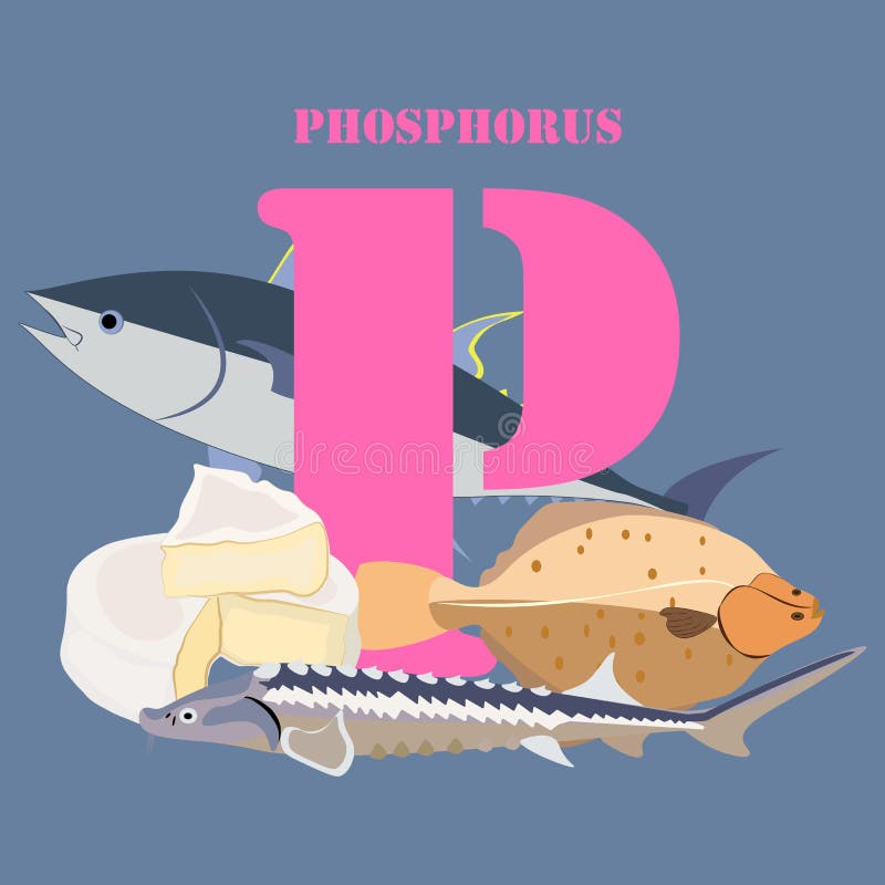 Phosphorus Food Stock Illustrations – 1,848 Phosphorus Food Stock ...