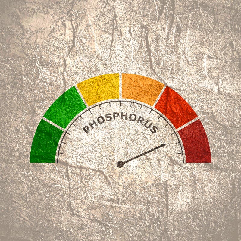 Phosphorus Level Abstract Scale. Food Value Measuring Stock ...