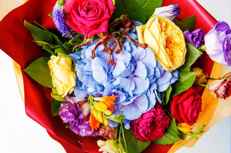 Photo from Above of Bouquet of Multi-colored Roses on Empty Background ...